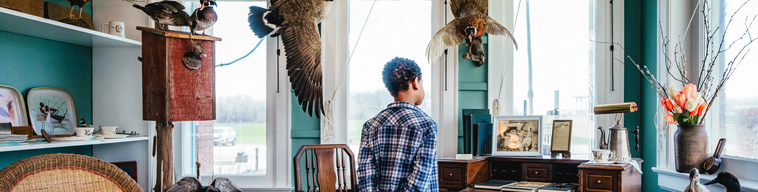 Jack Miner Migratory Bird Sanctuary - Tourism Windsor Essex Pelee Island