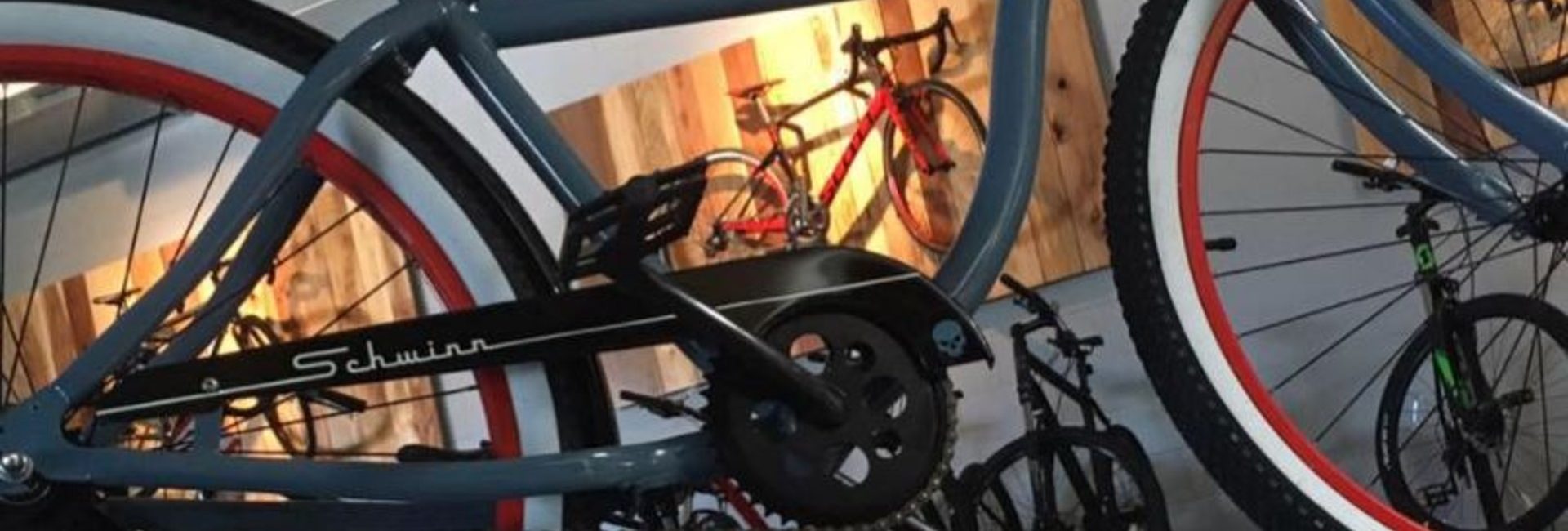 Infinity Cycle - Tourism Windsor Essex Pelee Island