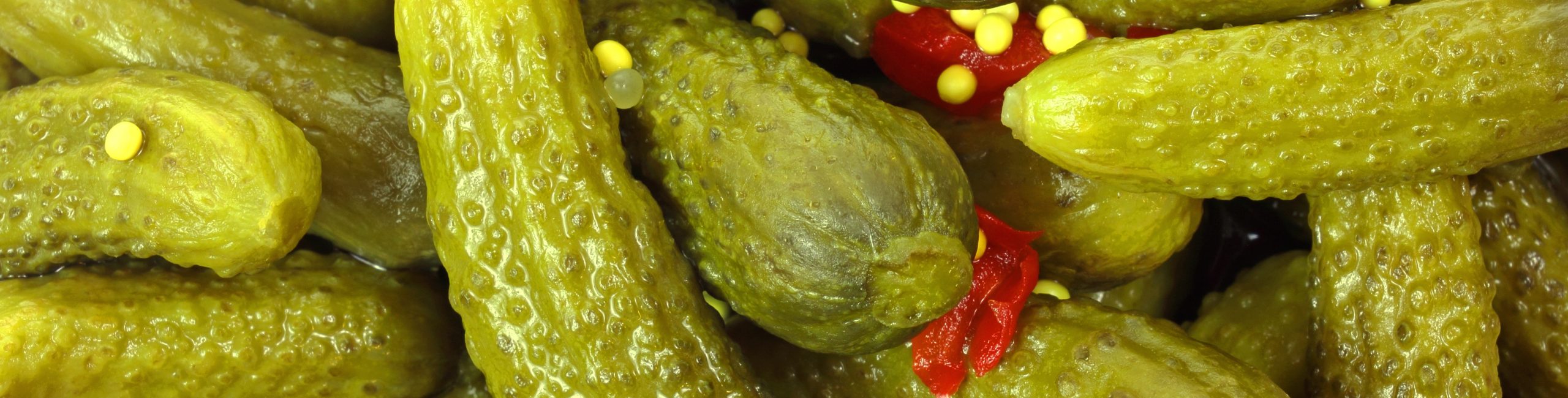 Lakeside Packing - Tourism Windsor Essex Pelee Island