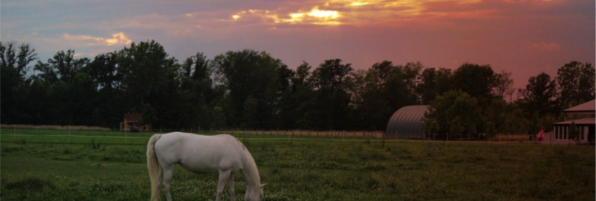 Lazee G Ranch - Tourism Windsor Essex Pelee Island