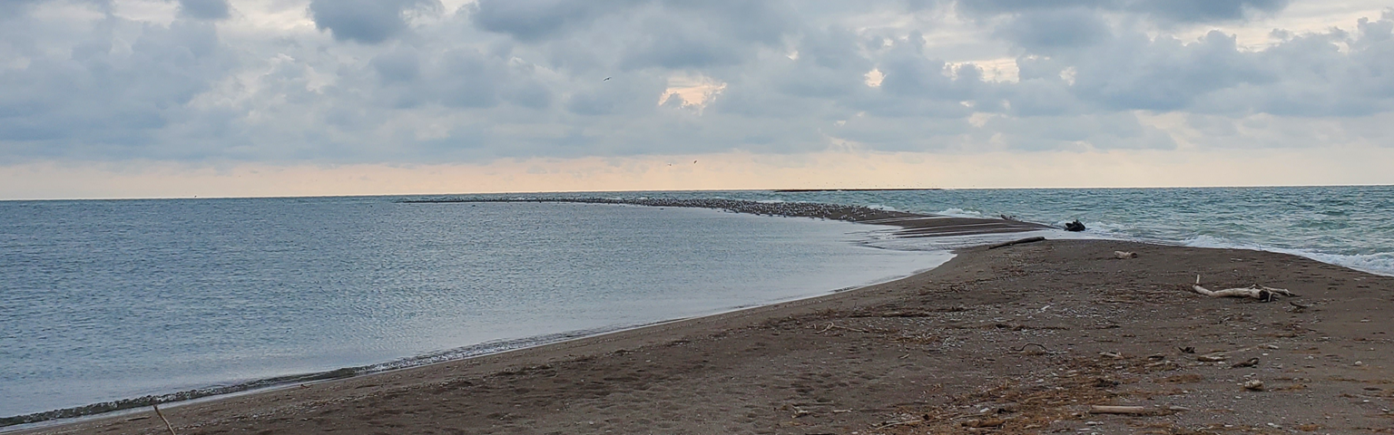 Fish Point Nature Reserve - Tourism Windsor Essex Pelee Island