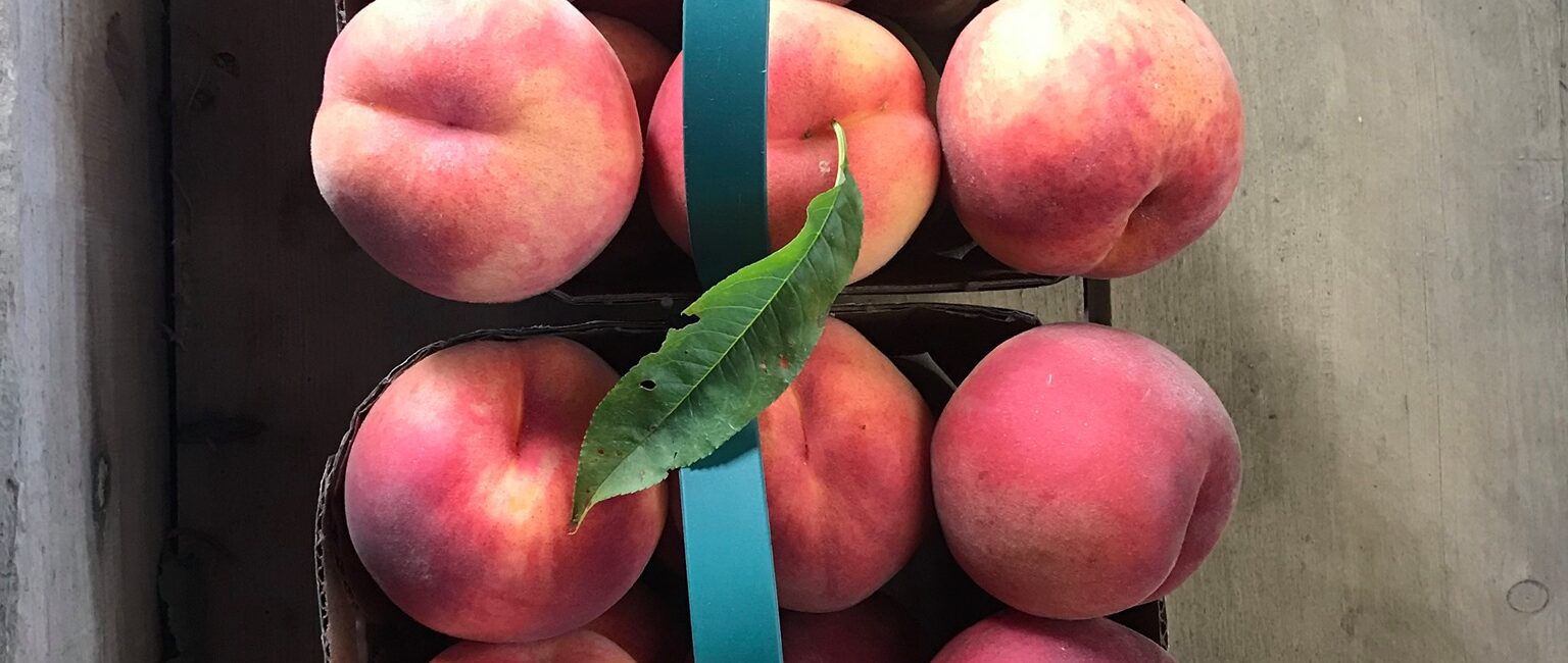 Kranicz Orchards & Windmill Ridge - Tourism Windsor Essex Pelee Island