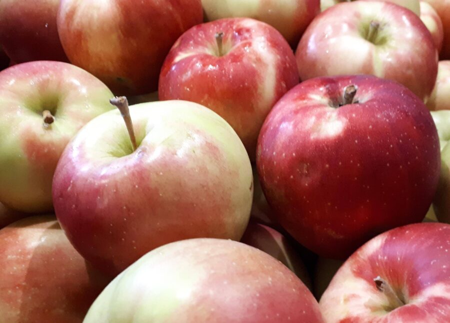 Farm to Table Archives - Tourism Windsor Essex Pelee Island