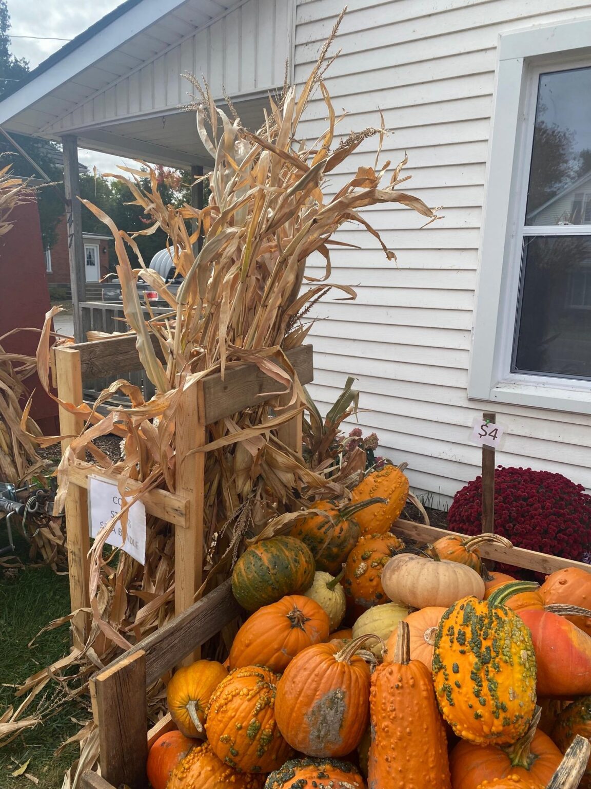 A Fun Day Away Exploring Cottam - Tourism Windsor Essex Pelee Island
