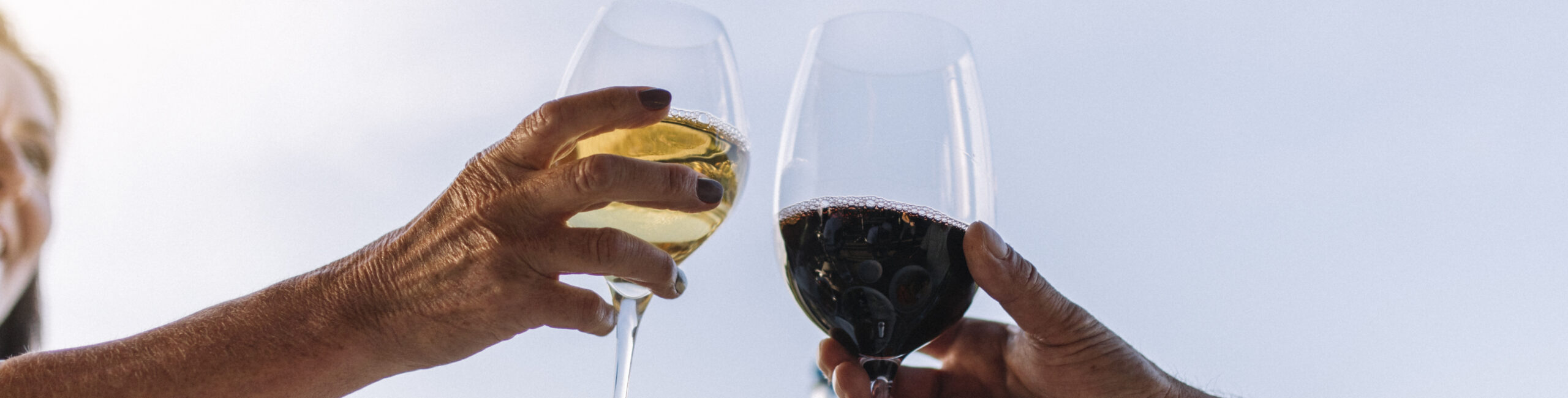 Board Game Sunday - Tourism Windsor Essex Pelee Island