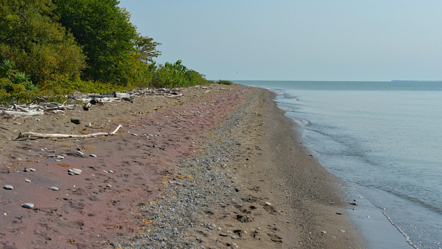 Unplug, Unwind, and Explore: The Ultimate Guide to Pelee Island ...