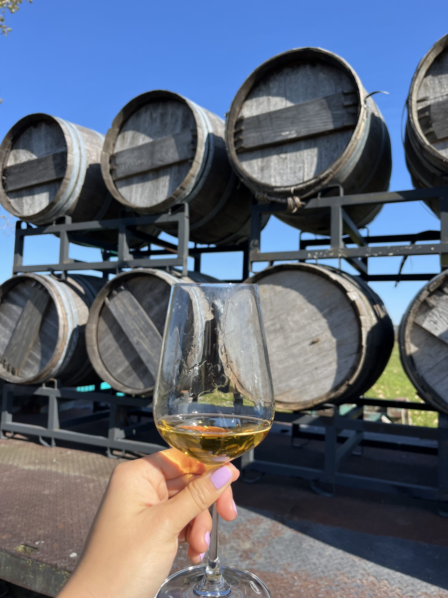 Flights of Flavour: Your Passport to EPIC Wineries - Tourism Windsor Essex Pelee Island